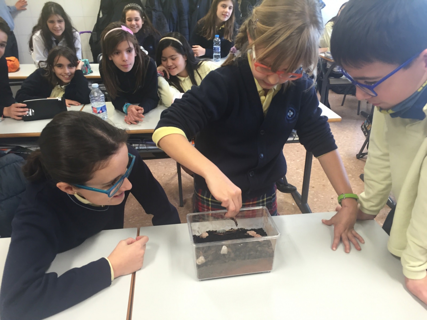 Terrario de lombrices