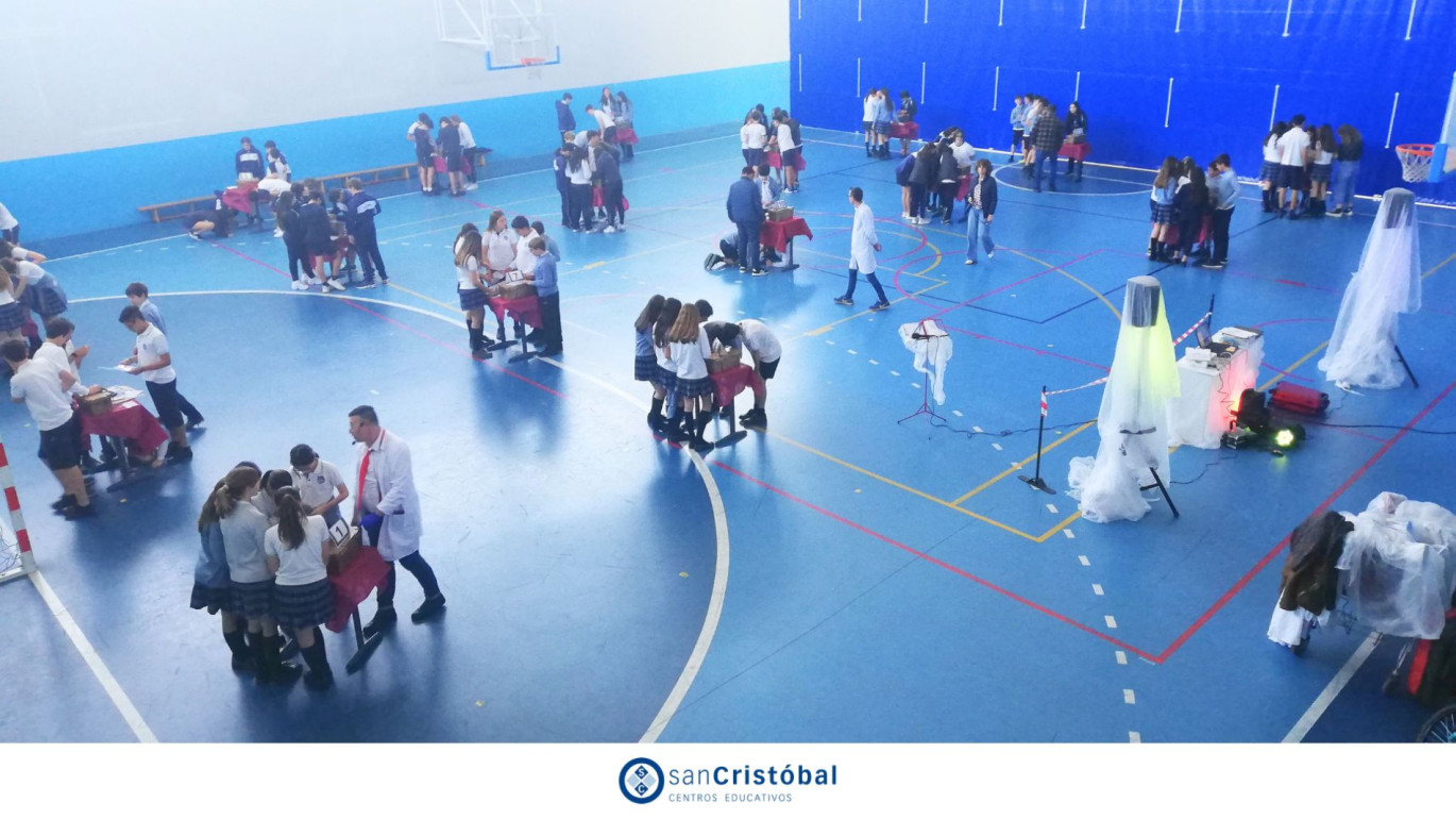 Explorando la Isla de Plástico: Una aventura educativa en forma de ...